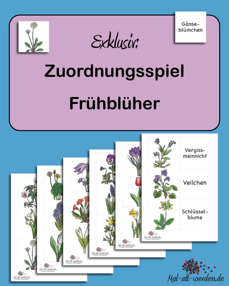 Exklusiv: Zuordnungsspiel Frühblüher