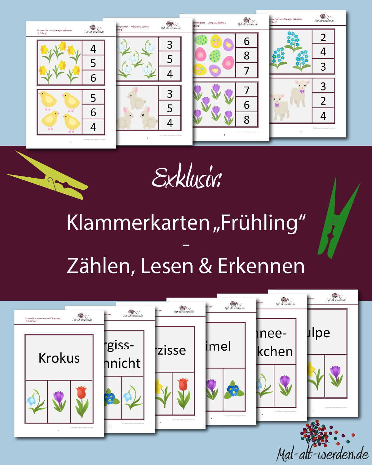 Exklusiv: Klammerkarten “Frühling” – Zählen, Lesen & Erkennen