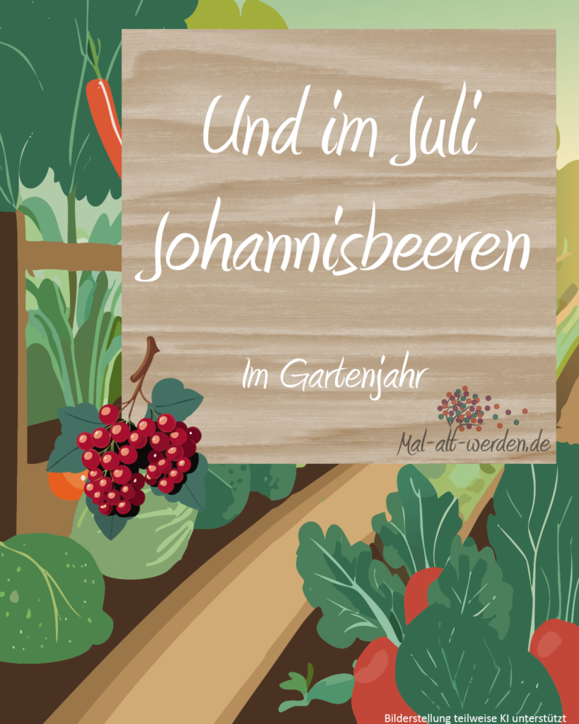Durch das Gartenjahr: “Und im Juli Johannisbeeren”