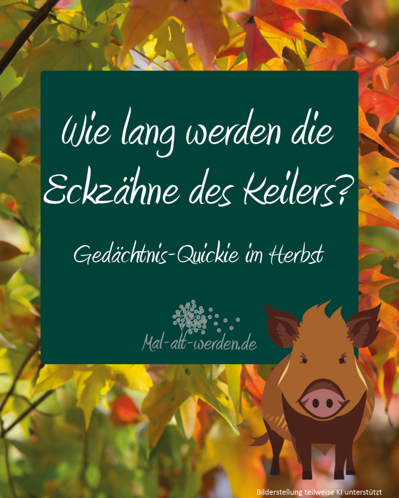 Gedächtnis-Quickie im Herbst! Wie lang werden die Eckzähne des Keilers?